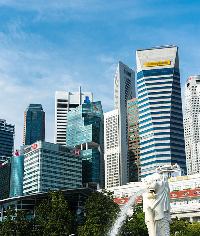 MLM Software Development Company in Kurukshetra - Rudram Soft